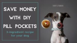 Pill Pockets For Dogs That You Can Make - Snoot and Toebeans