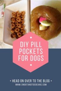 Pill Pockets For Dogs That You Can Make - Snoot and Toebeans