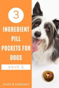 Pill Pockets For Dogs That You Can Make - Snoot and Toebeans