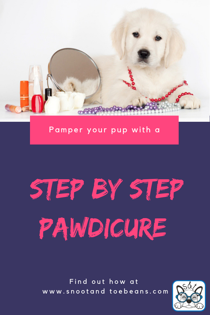 Dog Pawdicure is a Must – Regular Grooming Task - Snoot and Toebeans