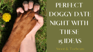 Dog Date Ideas for a Perfect Doggy Date Night - Snoot and Toebeans
