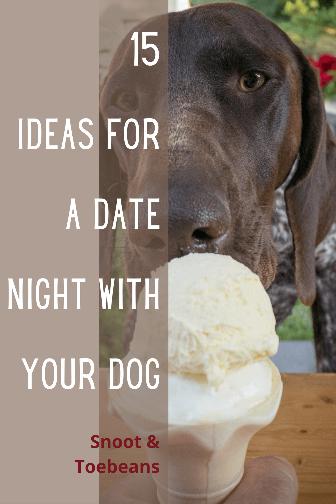 Dog Date Ideas for a Perfect Doggy Date Night - Snoot and Toebeans
