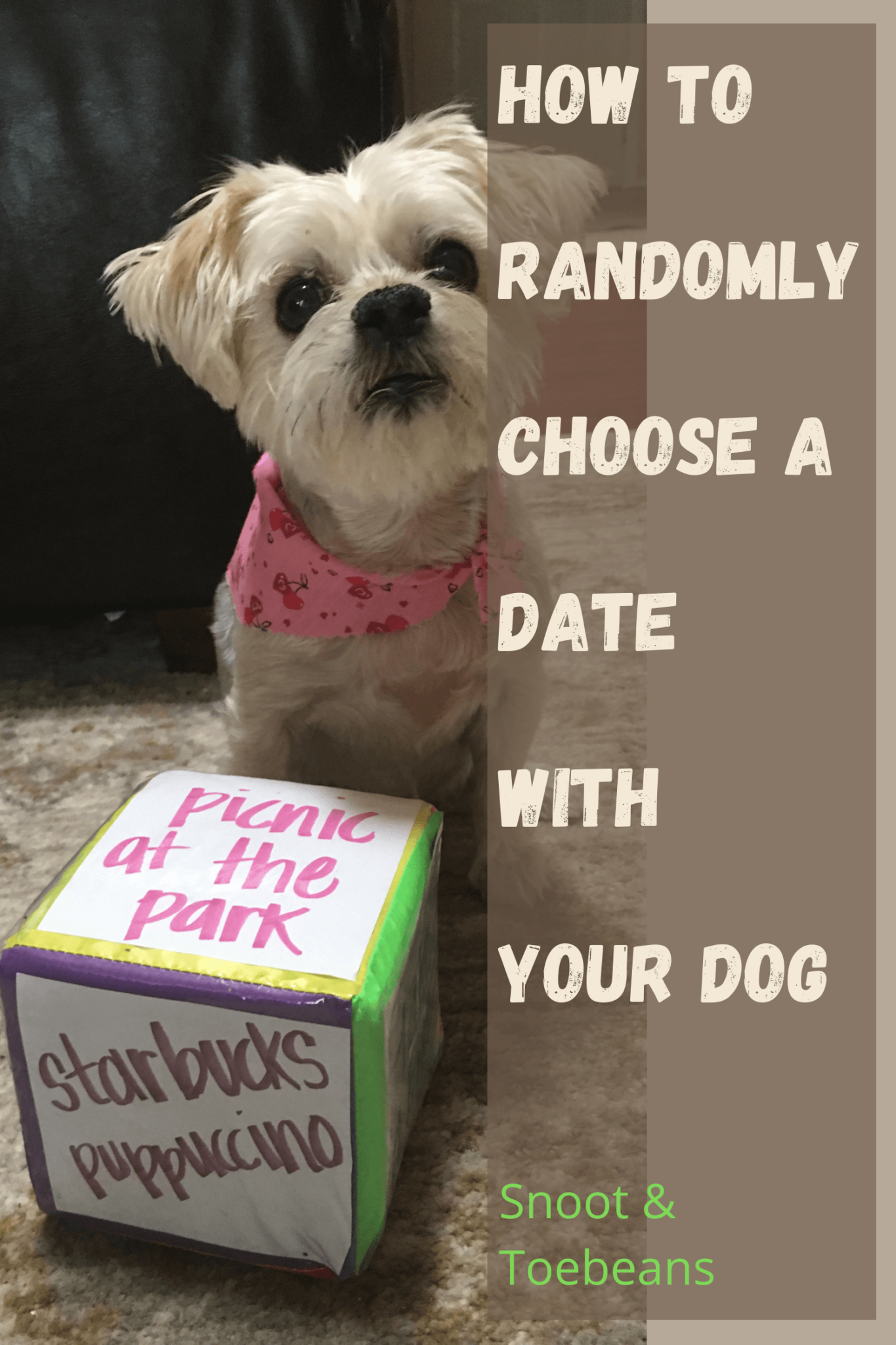 Dog Date Ideas for a Perfect Doggy Date Night - Snoot and Toebeans